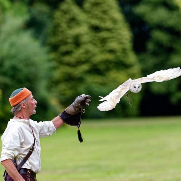 Falconry at Berkeley Castle - Berkeley Castle Events